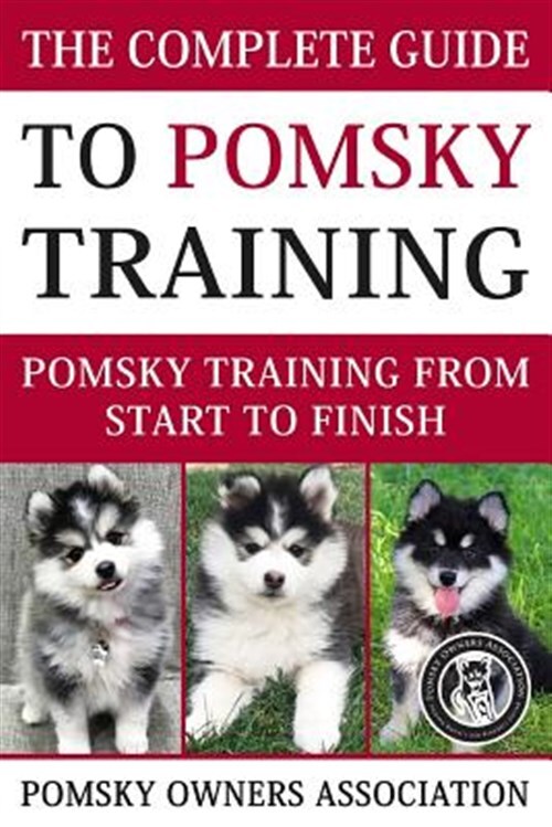 The Complete Guide To Pomsky Training: Pomsky training from start to ...