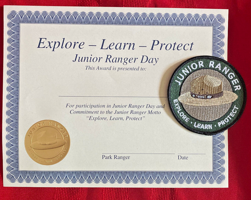 HTF New Vintage National Park Junior Ranger Day Certificate and Patch ...