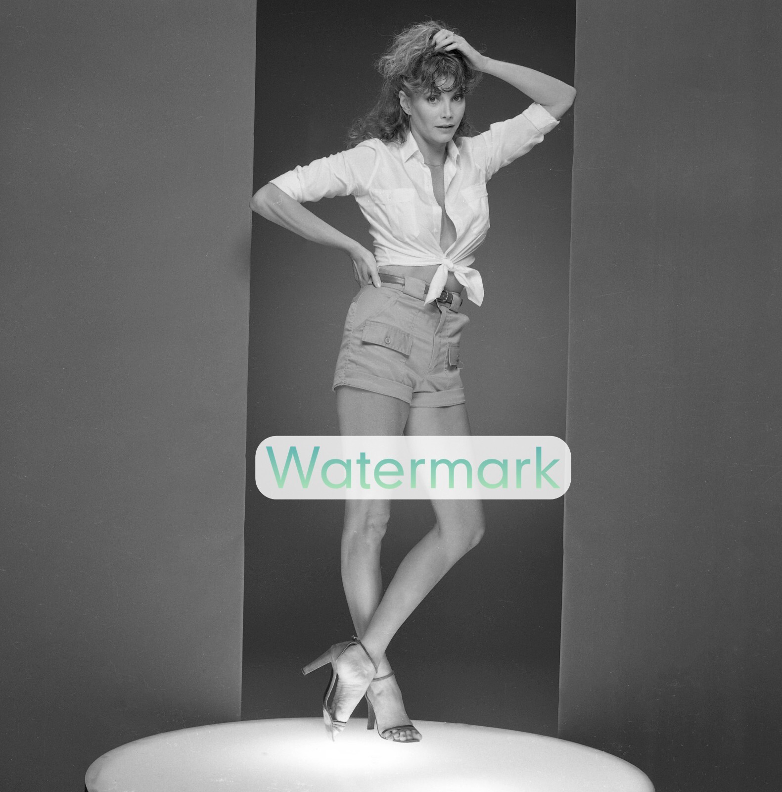 Sexy PAMELA SHOOP Open Blouse ** Fine Art Archival Print (8.5"x11") HI ...