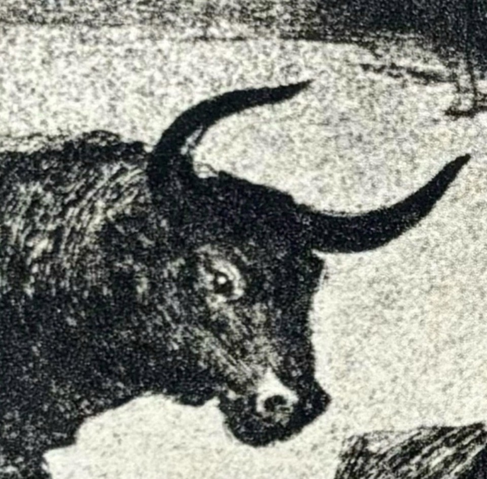 MARTINCHO, PLAZA SARAGOSA, BULLRING Original Vintage Fine Art GOYA ...