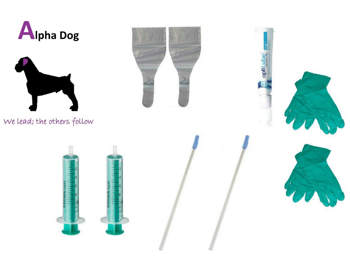 Human Artificial Insemination Kit