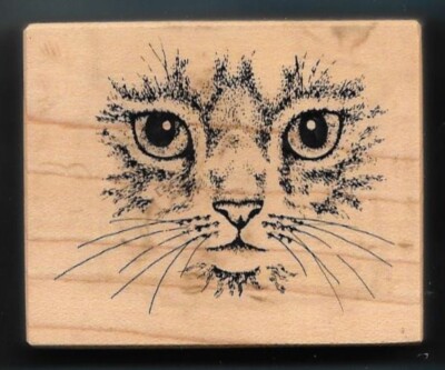 PSX CAT FACE BABY KITTEN Pet Animal E-951 wood 1991 Petaluma CA Rubber ...