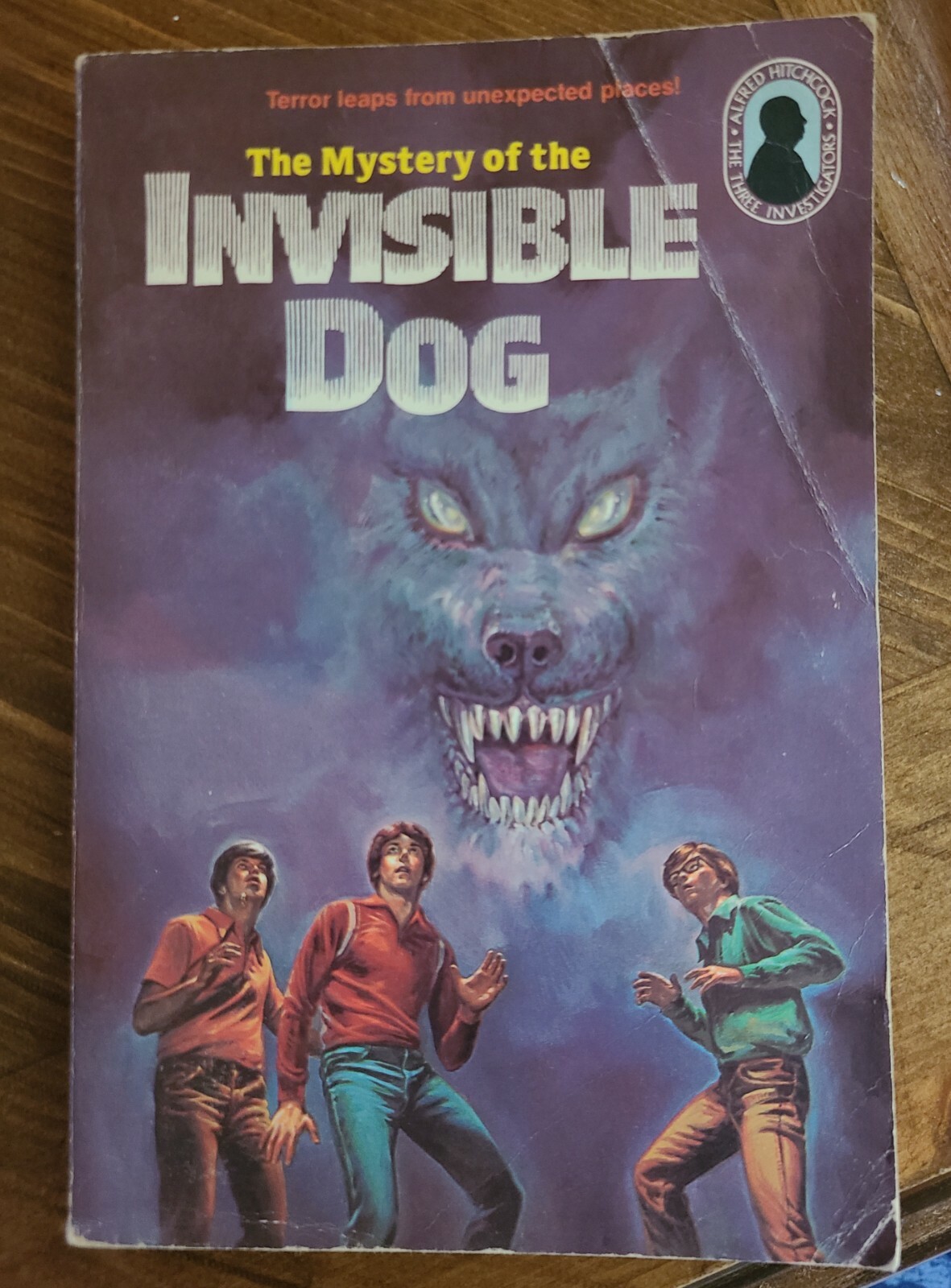 Mystery of the Invisible Dog by Alfred Hitchcock and Mary V. Carey ...
