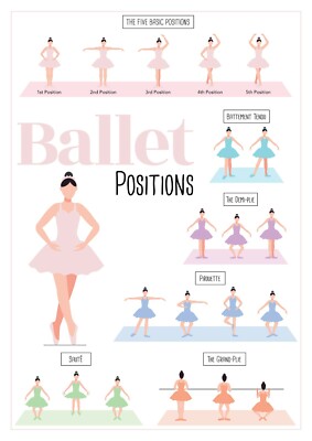 Ballet The Five Positions A3 Dancing Poses Practice Learning Guide Wall ...