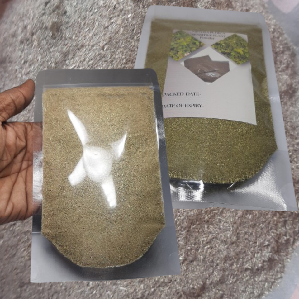 Dried Mimosa Pudica Herbal Sensitive Plant Nidikumba Leaf Root ...
