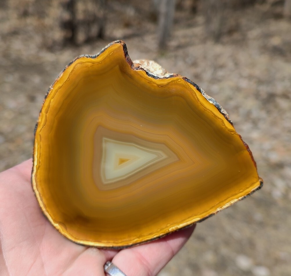 RARE YELLOW BRAZILIAN AGATE HALF, NATURAL EXCELLENT DISPLAY AGATE 1LB 4 ...