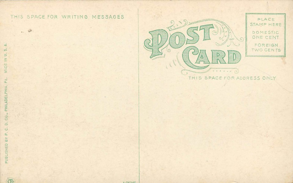 Pennsylvania, PA, Chester, View in Crozer Park 1910's Postcard | eBay