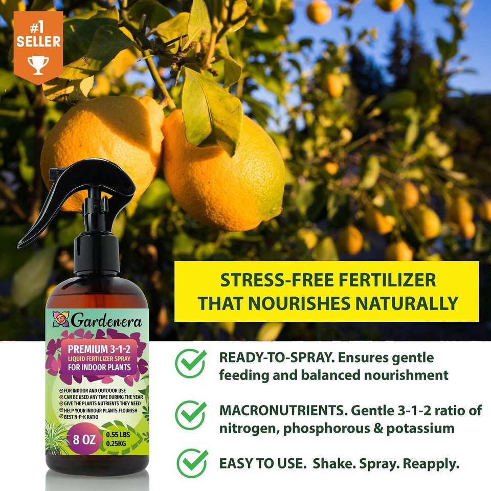 Proffesional Citrus Tree Spray Fertilizer Mist for Home Gardening | 3-1 ...
