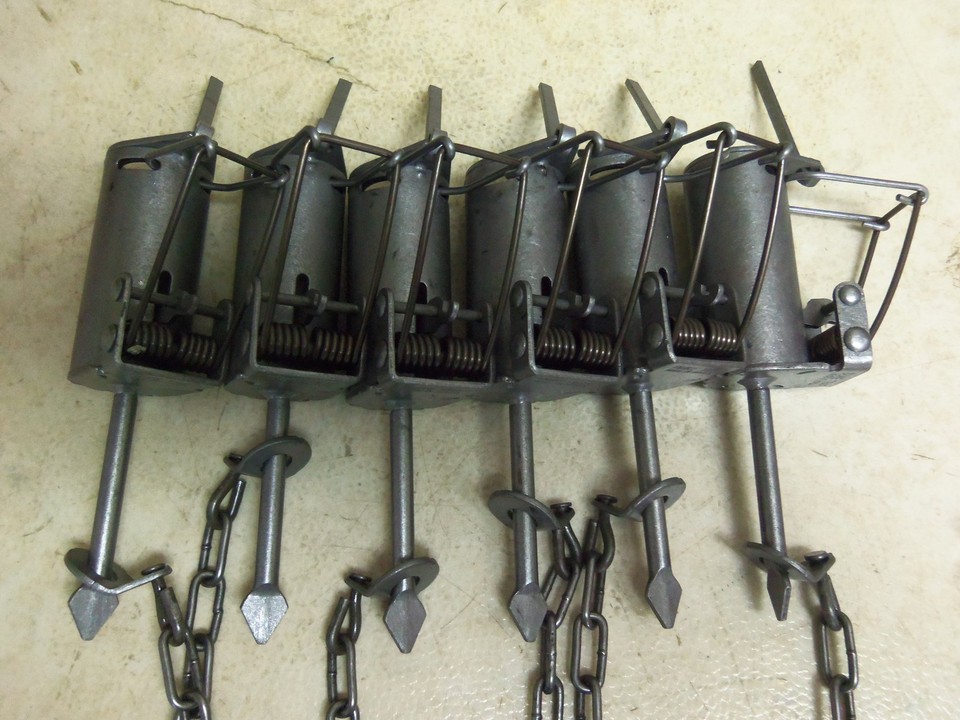 Duke Raccoon Trapping Pkg. 6-Dog Proof & 6-1 1/2 Coil Spring Traps ...