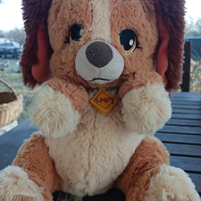 Front Porch Pickers | eBay Stores