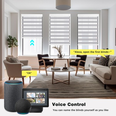 Custom Light Filtering Zebra Roller Blind Work with Alexa Phone Control ...