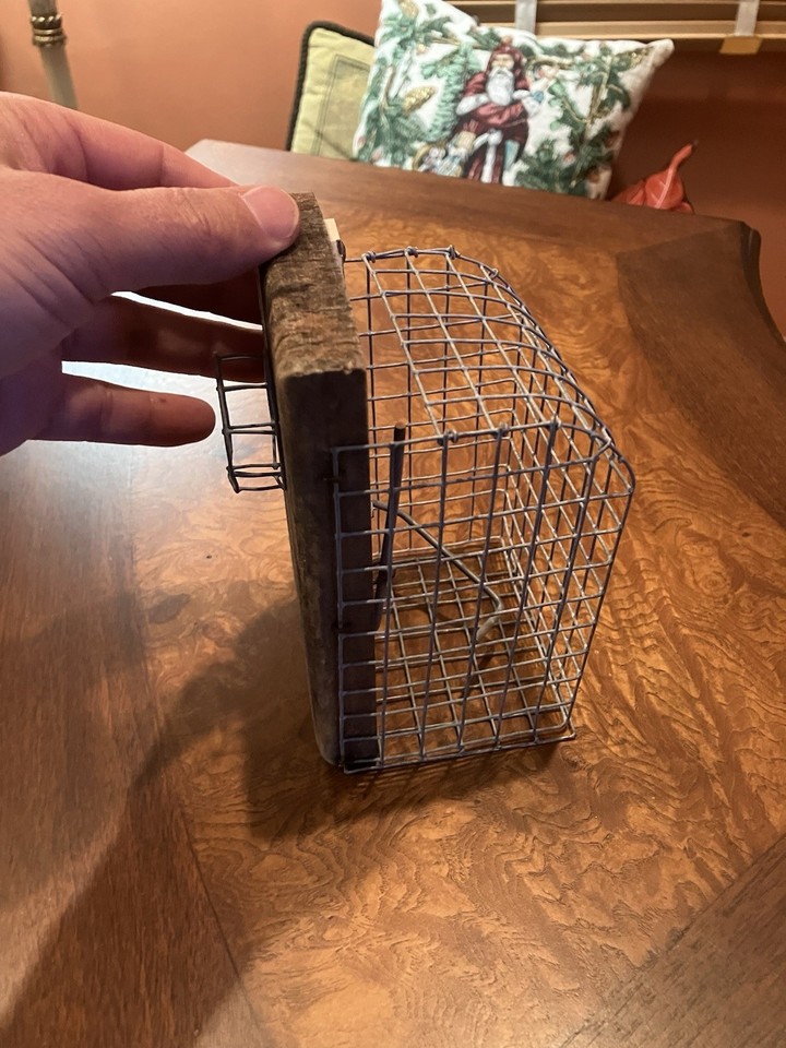 Vintage Mouse Trap. Catch Alive Mouse. Great Condition. Rare & Unique ...