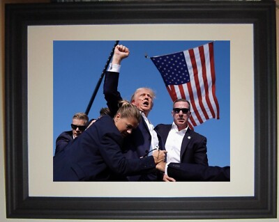 President Donald Trump Flag Assassination Attempt Framed Photo Portrait ...