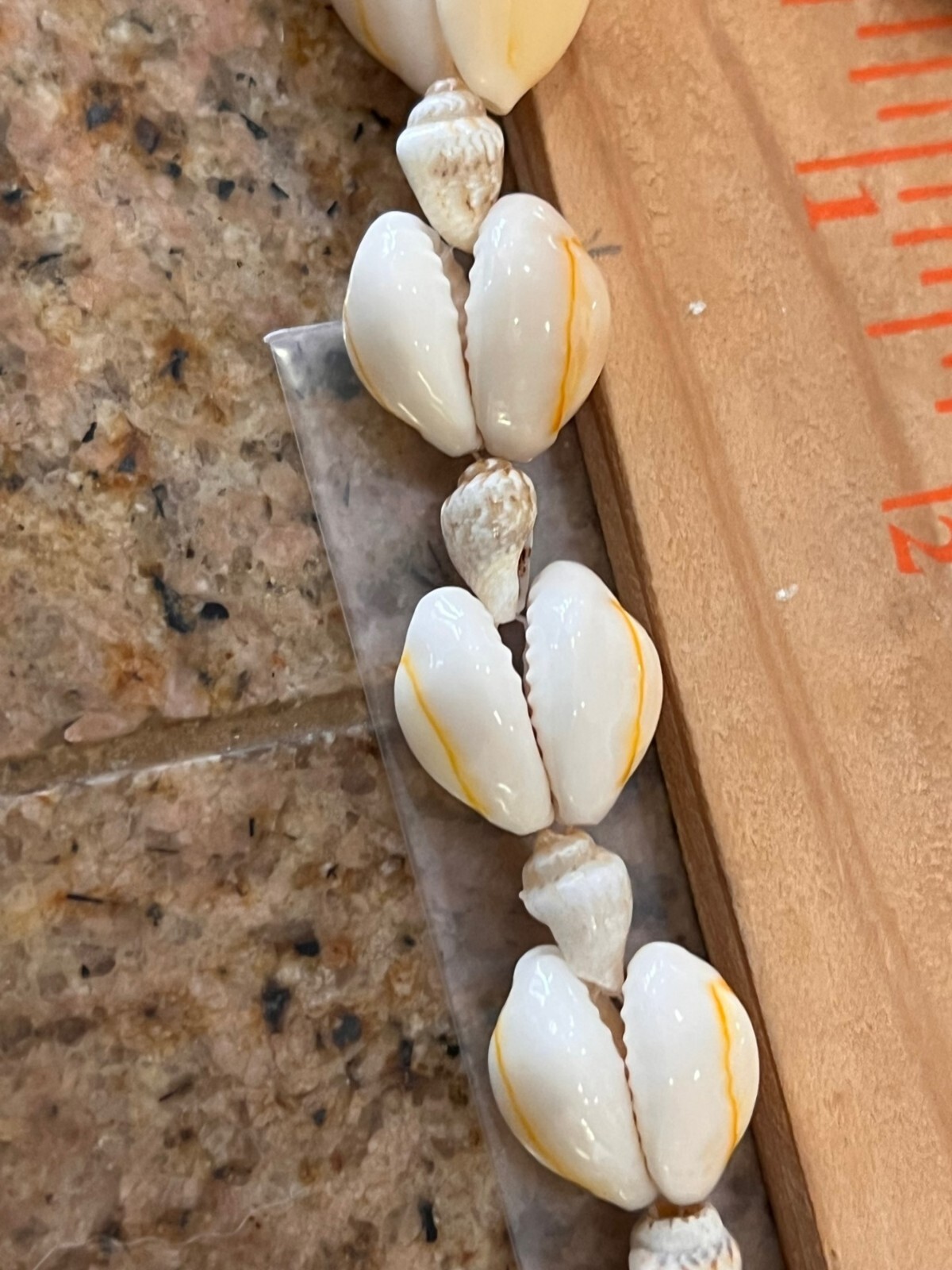 1980s Conch & Shell necklace vintage hawaiian -i- - Gem