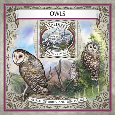 OWLS Birds of Prey 1-Value MNH Bird/Birds Stamp Sheet #270 (2017 ...