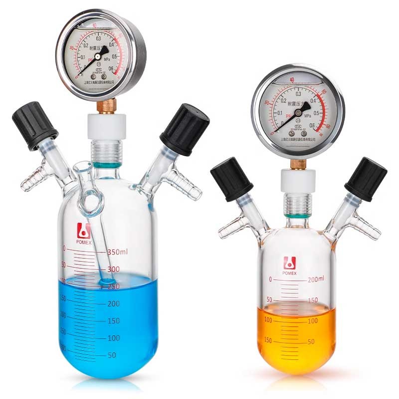 100ml-1000ml Vacuum Flask Glass Pressure Reaction Bottle w/ Gauge for ...