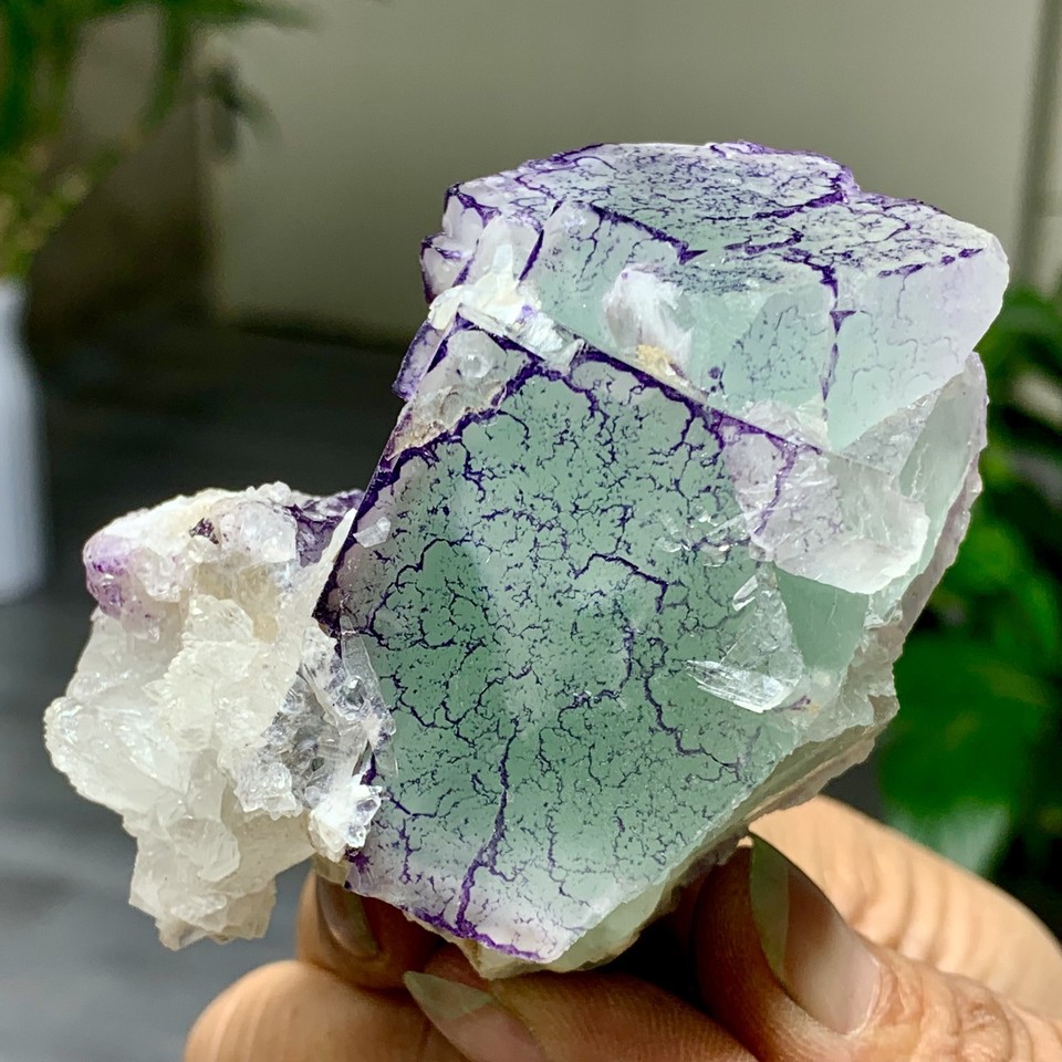 171G Natural Purple "QR Code"Fluorite Cluster Crystal Mineral Specimen ...