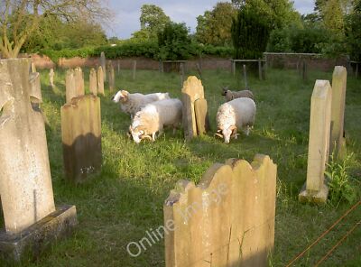 Photo 6x4 Raskelf church graveyard The sheep no doubt keep the graves ...
