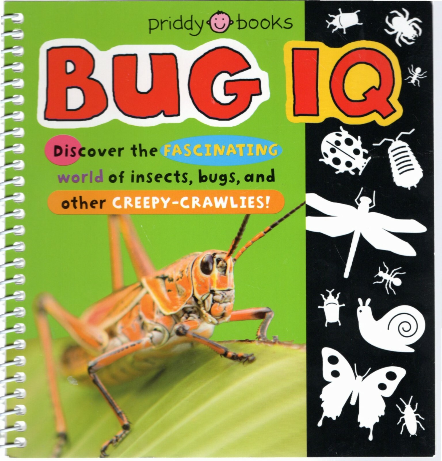 Bug IQ by Nicole Friggens, Robyn Newton, & Kylie Hanley | eBay