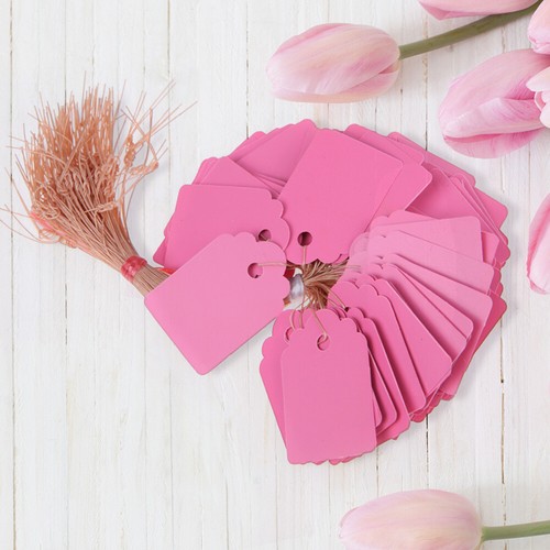 100pcs DIY Seedlings Labels Creative Plant Flower Tag Mark Garden Tools ...