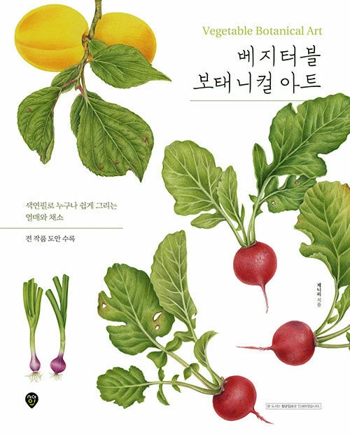 Vegetable Botanical Drawing