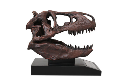 SD STUDIOS Smithsonian Institute The Nation’s T. Rex Skull 1/10 Scale ...