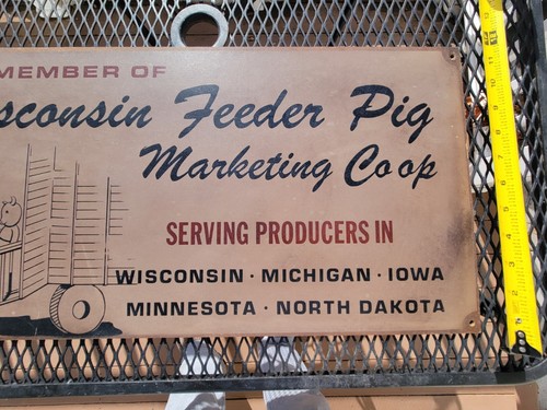 Vtg Wisconsin Feeder Pig Marketing Co-Op Masonite Sign 12" x 24" MI, IA ...