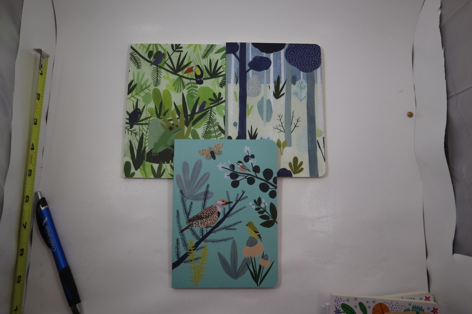 GGBOT The Chicago school 3 NOTEBOOK Journal blank book 80 pg Roger la ...