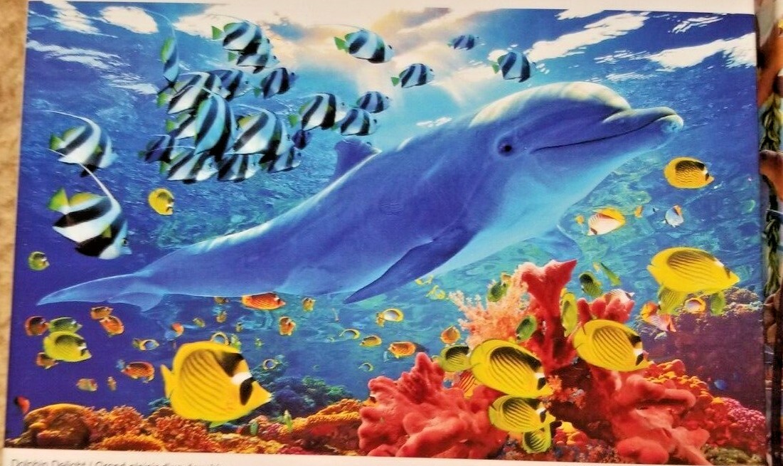 2 Pre-Owned puzzles 18 x 11 Fish Aquarium, Dolphins By Puzzlebug/Artbox ...