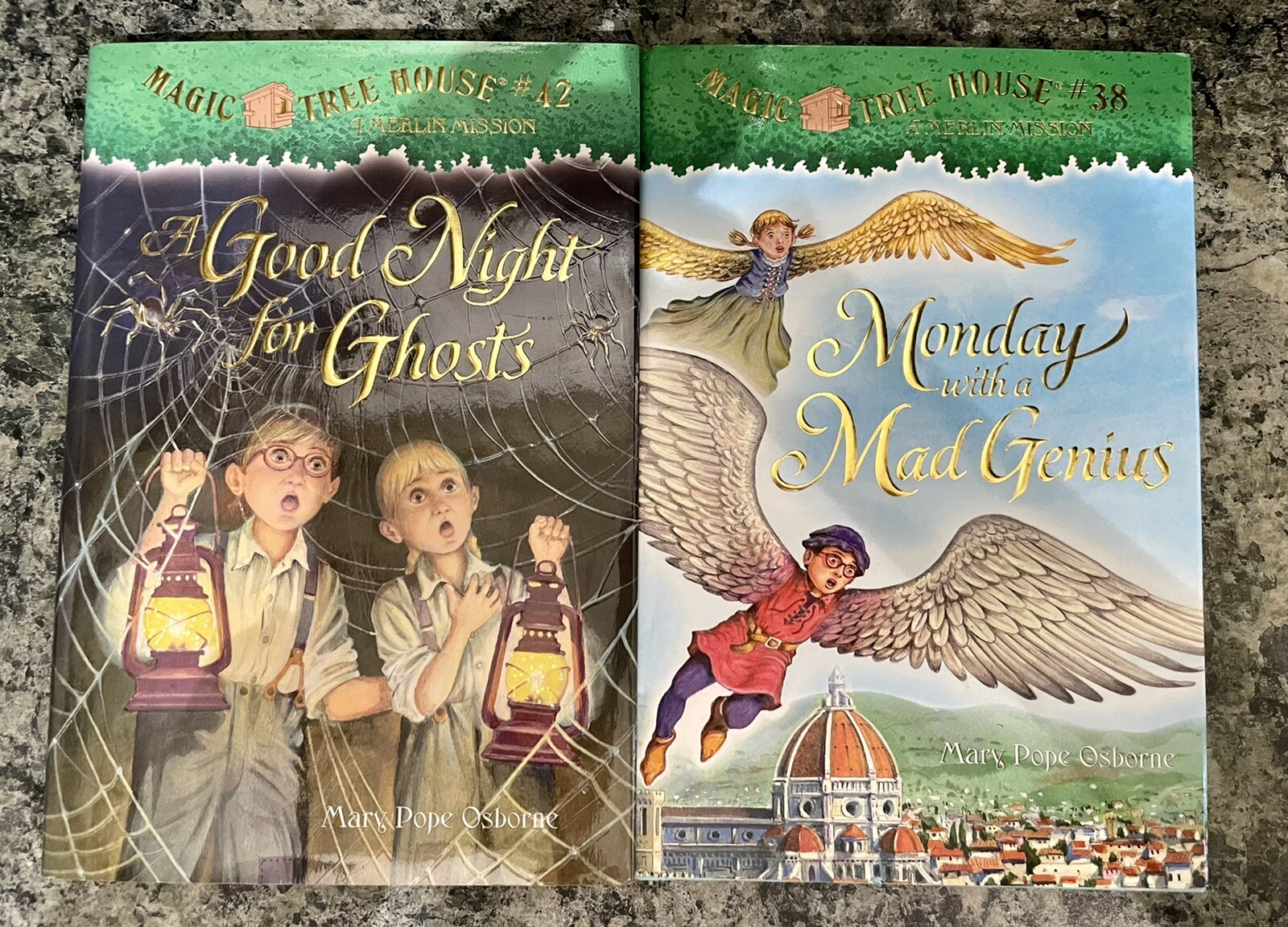 Magic Tree House 38