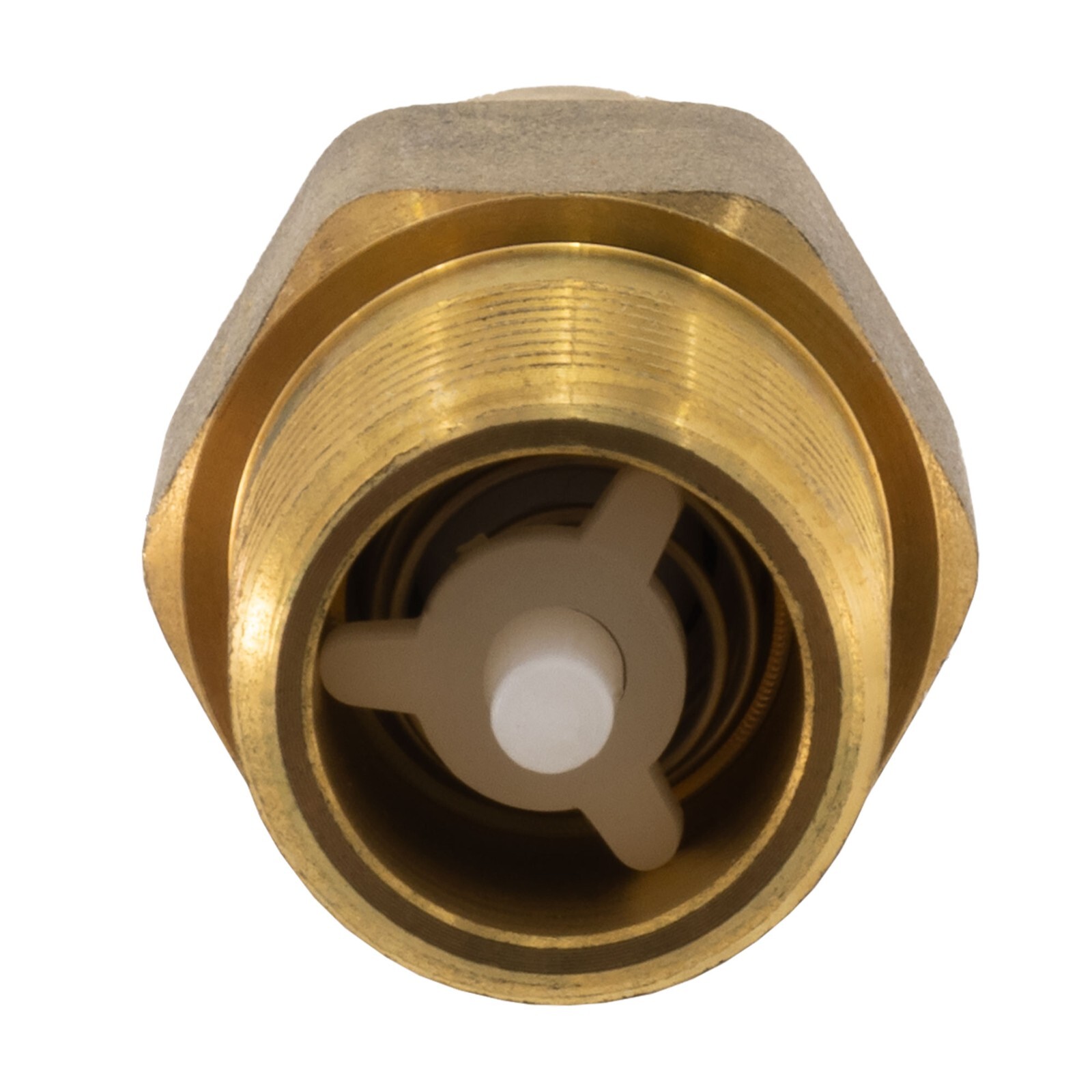 RV Back Flow Preventer 1/2" Brass Check Valve | eBay
