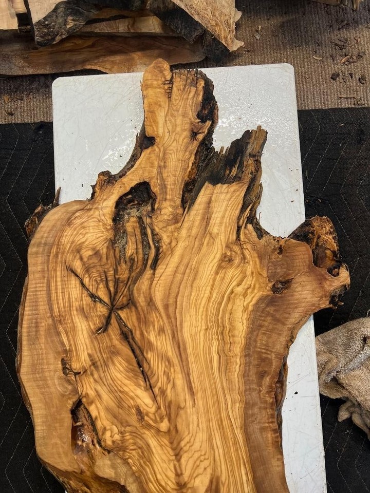 #139 OLIVE wood burl slab 200 yr old Rawcut 16x24 | eBay
