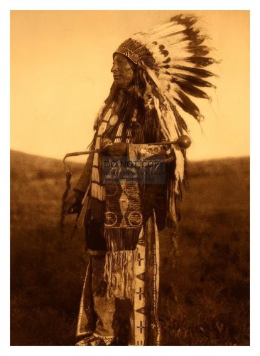 CHIEF HIGH HAWK BRULE NATIVE AMERICAN LEADER WEARING HEADRESS 5X7 PHOTO ...