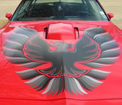 1978 - 81 TRANS AM COMPLETE DECAL KIT W/ 1 PC HOOD BIRD - SILVER - GM ...