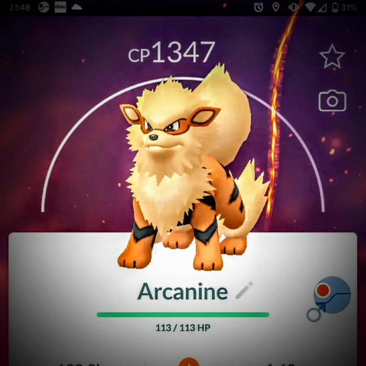 Arcanine Pokemon