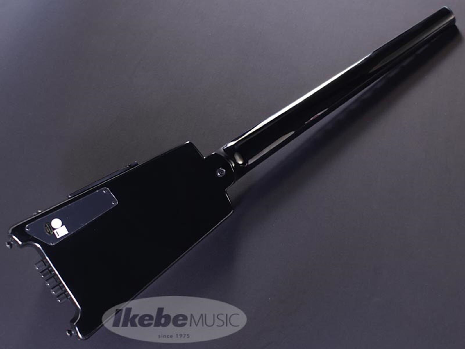 STEINBERGER Spirit XT-25 5-Strings Bass Black Headless Electric Bass ...