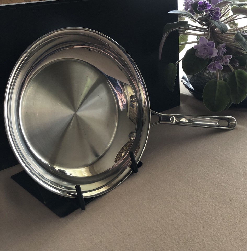 TECHNIQUE CLAD TRIPLY Stainless Steel Frying Pan/Skillet 10 Inch | eBay