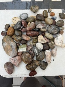 Bulldog Rocks | eBay Stores