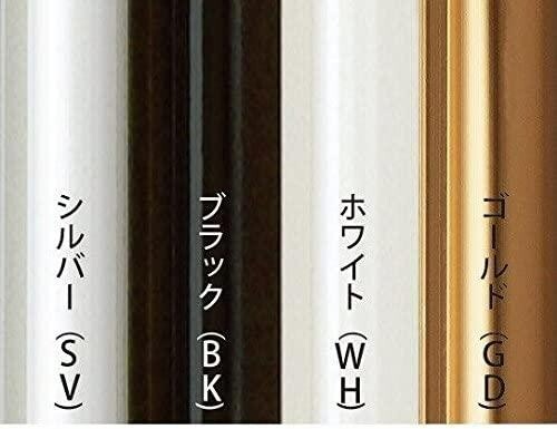 Arte Poster Frame Shape B2 (515 x 728 mm) Black SH-B2-BK Japan | eBay