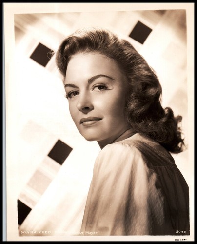 Hollywood Beauty DONNA REED STUNNING PORTRAIT 1950s STYLISH POSE Photo ...