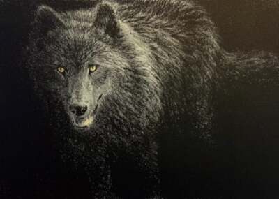 John Seerey-Lester - Black Wolf - Lithograph - 350 S/N - Signed - MINT ...