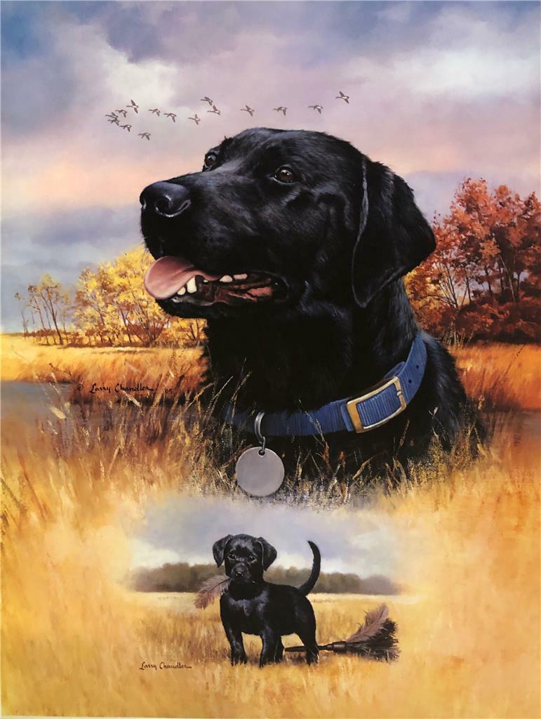 Black Lab Duck Hunting Painting
