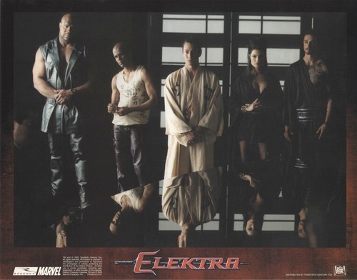 Elektra Original 11x14 Lobby Card Natassia Malthe Bob Sapp Cast Marvel ...