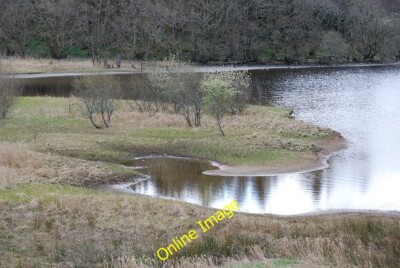 Photo 6x4 Shore of Loch Awe Ford/NM8603 The willows are showing catkins ...