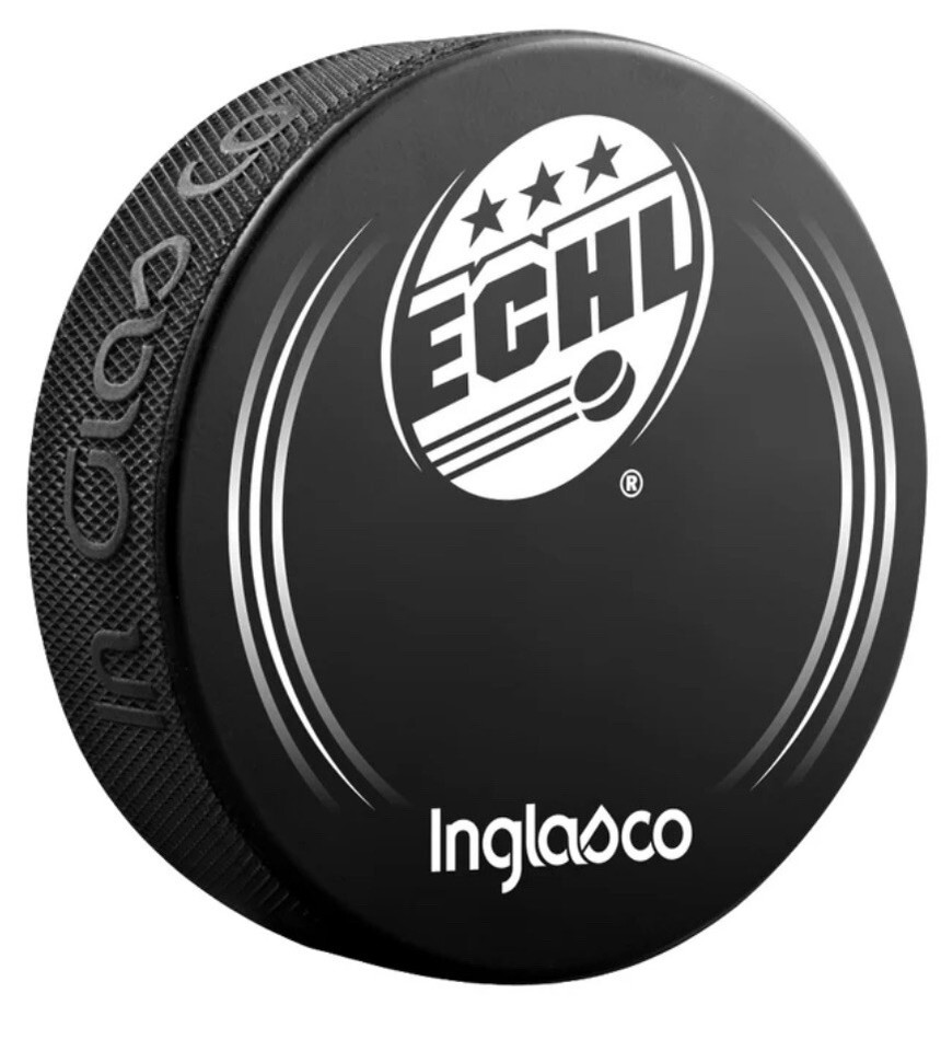 2023-24 NEWFOUNDLAND GROWLERS ECHL LOGO SOUVENIR PUCK *TEAM FOLDED ...