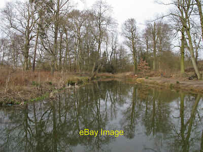 Photo 6x4 Pond in Aubrey Buxton Nature Reserve Stansted Mountfitchet A ...