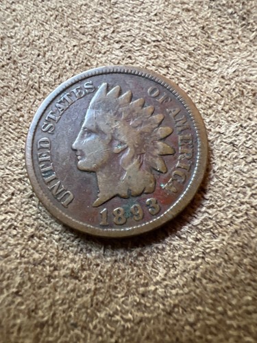 1893 Bronze Native American Cent (Indian Head Penny) US Coin/Historic ...