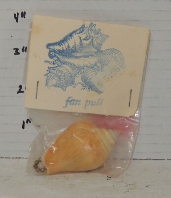 Custom Made Seashell Ceiling Fan Light Pull | eBay