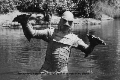 Creature from the Black Lagoon PHOTO Scary Spooky Creepy Halloween ...