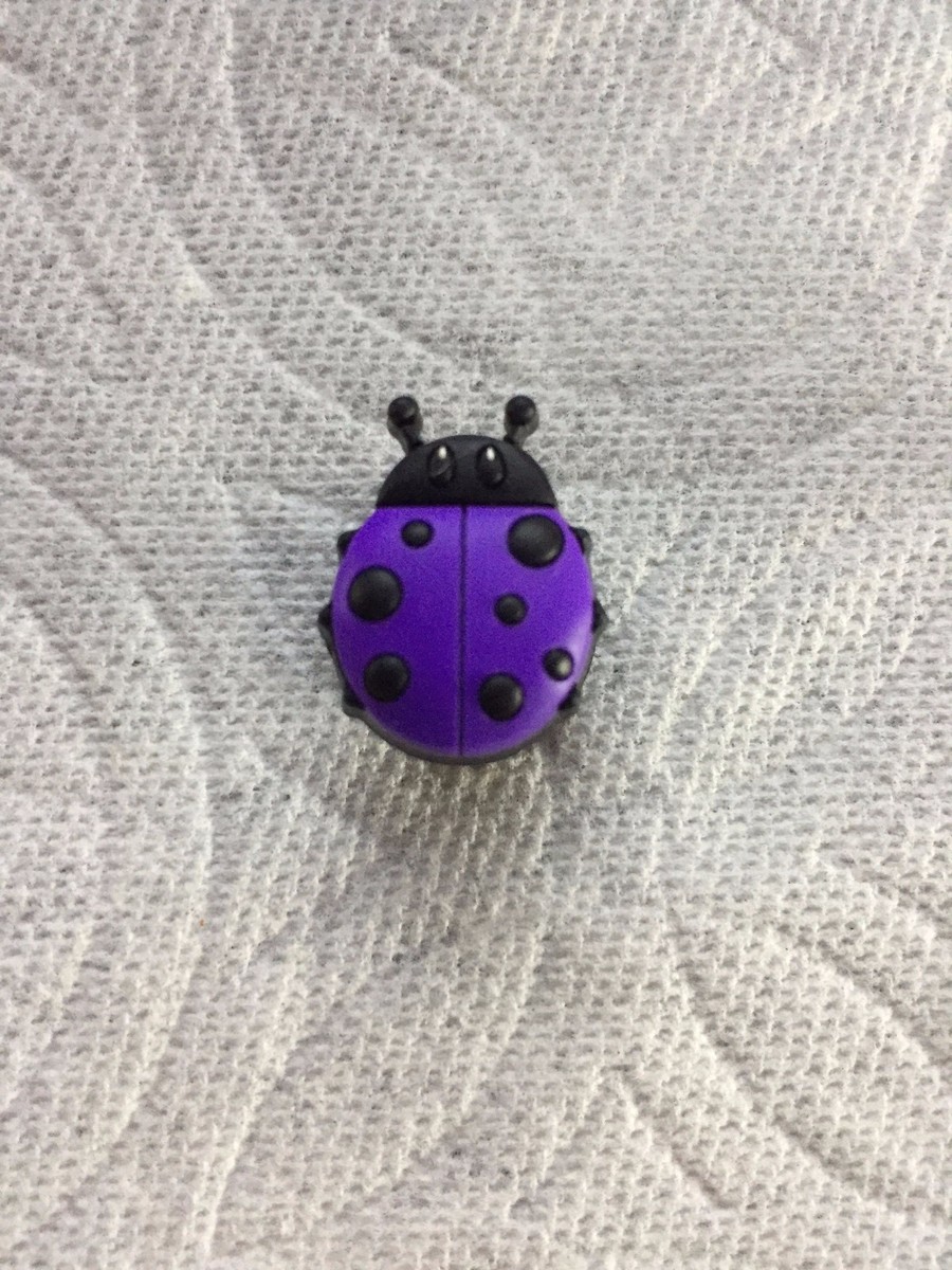 Real Purple Ladybugs Purple Ladybugs True Or False, Origin, Facts,